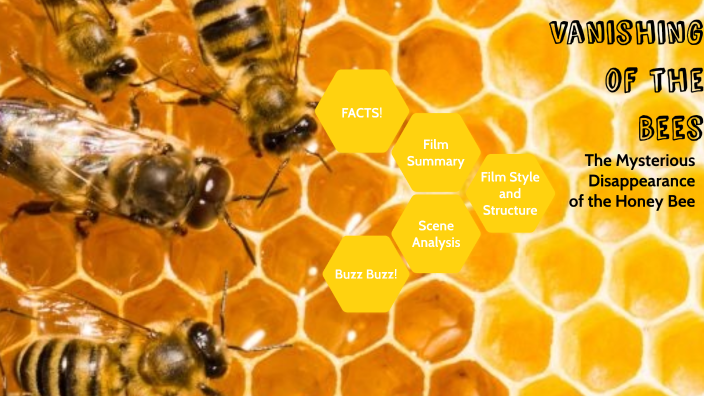 Vanishing of the Bees by Erin Burns on Prezi