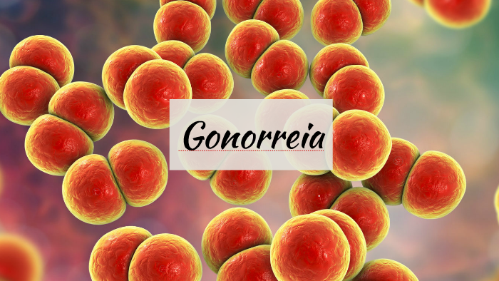 O que é a gonorreia? by Isabel Ferreira on Prezi