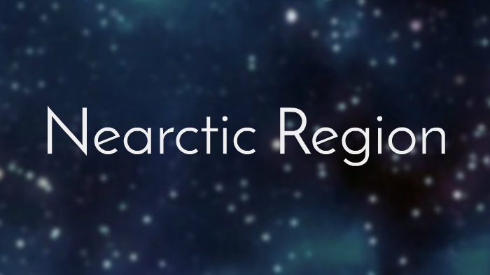 Nearctic Region by Nadeem Hussain Khero on Prezi