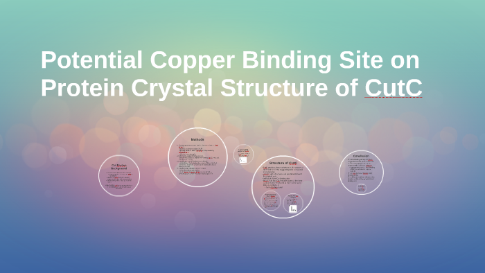 Potential Copper Binding Site on Protein Crystal Structure o by Amanda ...