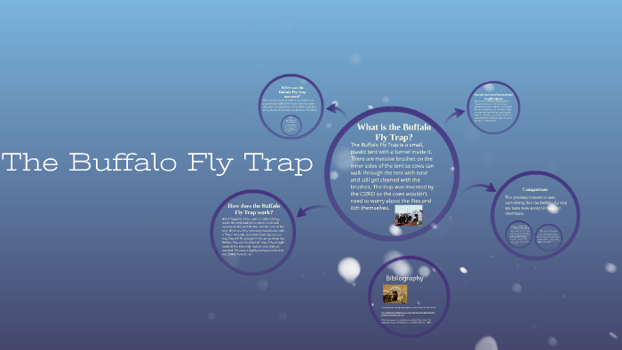 The Buffalo Fly Trap by osmond lin on Prezi