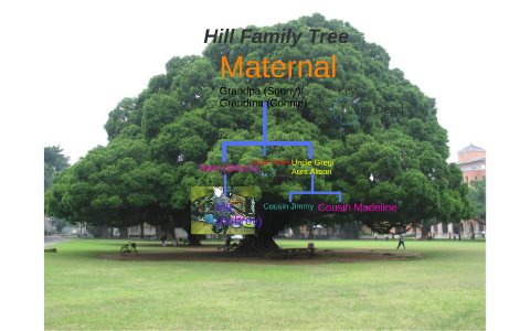 Hill Family Tree by Aubrey Hill on Prezi