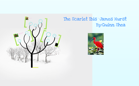 The Scarlet Ibis ~James Hurst by Quinn Shea on Prezi