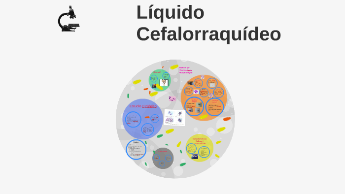 Líquido Cefalorraquídeo by Raquel Crespillo on Prezi