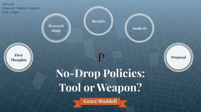 An Evaluation of Efforts to Implement No-Drop Policies: Two Central ...