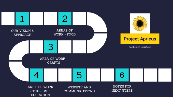 Alternative Life Plan by Anshul Bhamra on Prezi