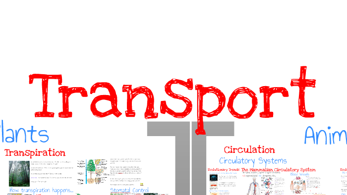AP Bio- Physiology 3: Transport by Lisa Kuzan on Prezi