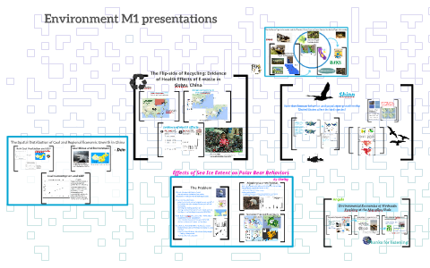 Environment M1 presentations by Erin Streff on Prezi
