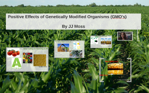 Positive Effects of Genetically Modified Organisms (GMO's) by JJ Moss ...
