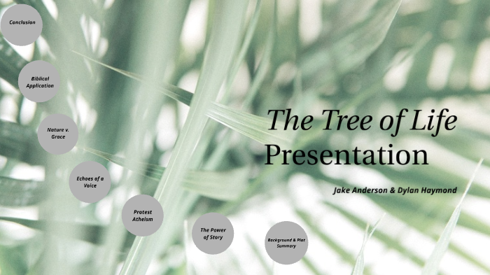 Tree of Life Presentation by Jake Anderson on Prezi