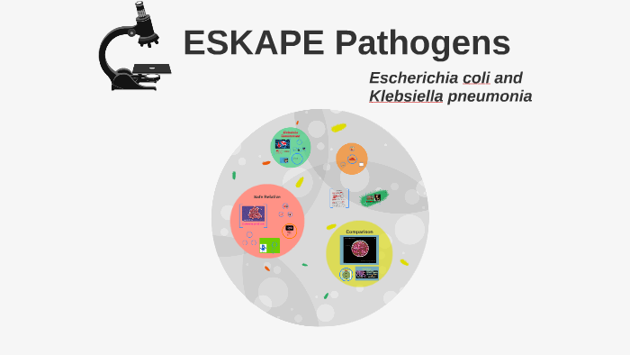 ESKAPE Presentation by Emily Lupo on Prezi