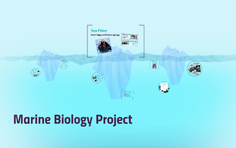 Marine Biology Project by Wyatt Oakes on Prezi