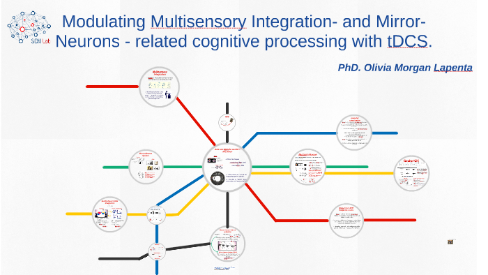 Modulating Multisensory Integration- and Mirror-Neurons - re by Olivia ...