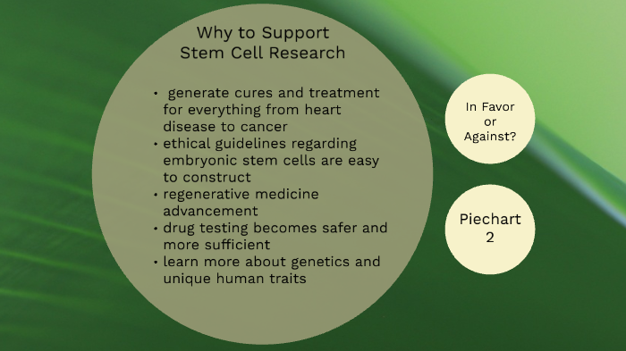 Stem Cell Project Infographic by Jaila Hatcher on Prezi