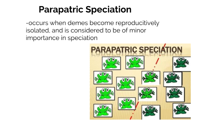 Parapatric Speciation