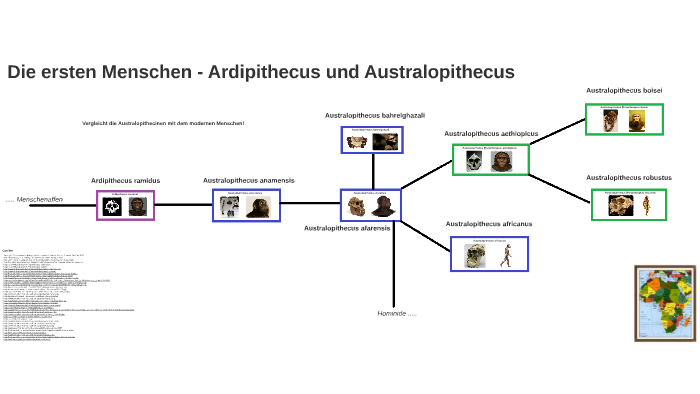 Australopithecus aethiopicus by Hermann Siebel on Prezi