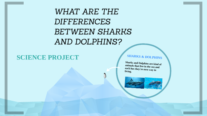 The difference between Sharks and Dolphins by Safwan Nahas on Prezi