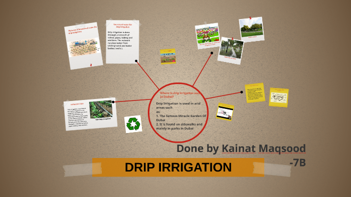 DRIP IRRIGATION by kainat maqsood on Prezi