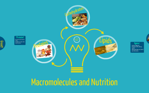 Macromolecules and Nutrition by Margaret McAllister on Prezi