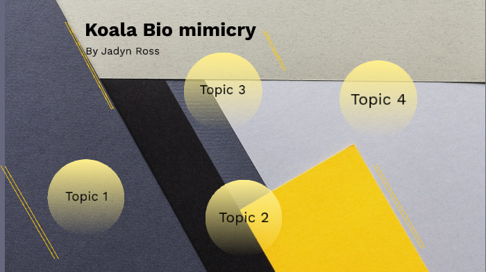 Koala biomimicry by Jadyn Ross on Prezi