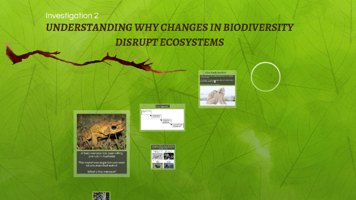 UNDERSTANDING WHY CHANGES IN BIODIVERSITY DISRUPT ECOSYSTEMS by D K