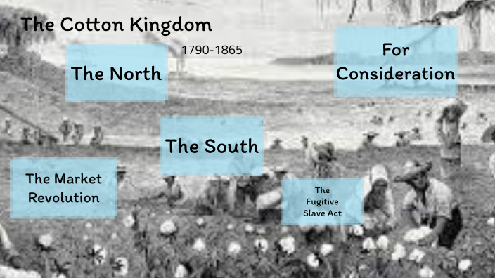The Cotton Kingdom by Cynthia Coffey on Prezi