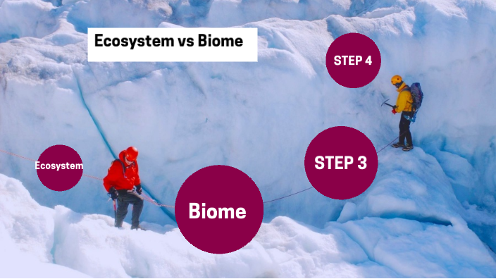 Ecosystem vs Biome by anthony Stice on Prezi