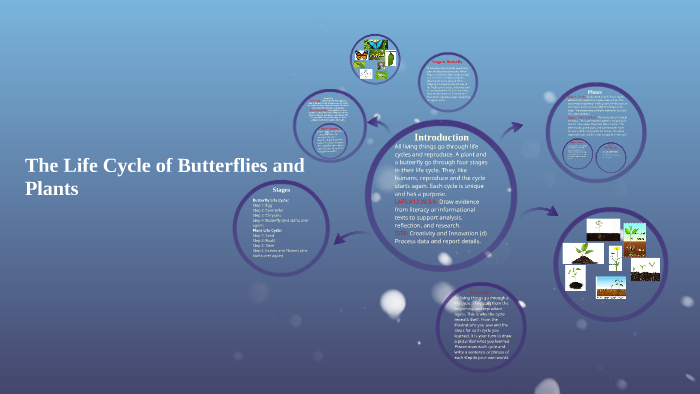 The Life Cycle of Butterflies and Plants by Deborah Rolon on Prezi