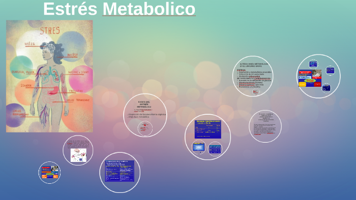 Estres metabolico by Ivette Rivera on Prezi