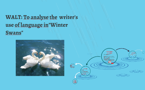 WALT: To analyse the writer's use of language in"Winter Swa by Sue ...