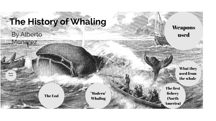 Whaling History by Alberto Monarez on Prezi