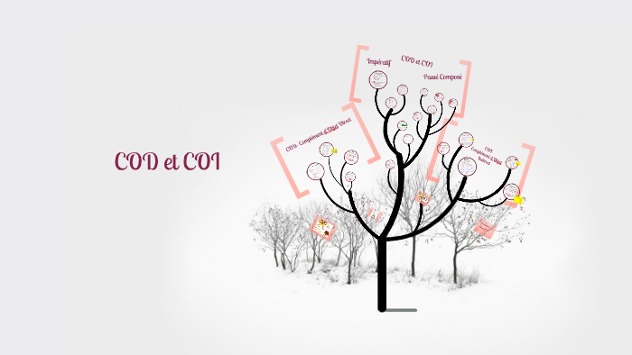 explication COD COI by Anne Van Doninck on Prezi