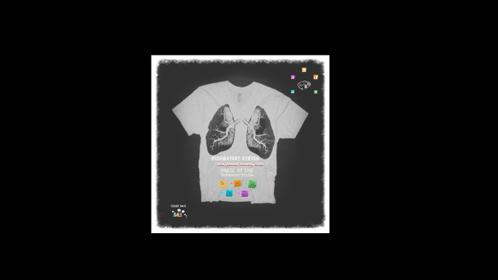 Respiratory System by Neha Momin on Prezi