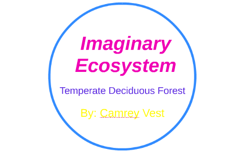 Imaginary Ecosystem by Camrey Vest on Prezi