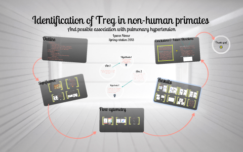 Norris lab rotation by Lauren Kinner on Prezi