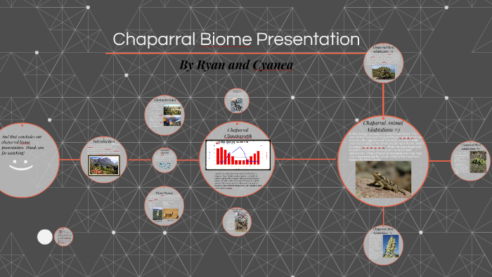 Chaparral Biome Presentation by Ryan Lee