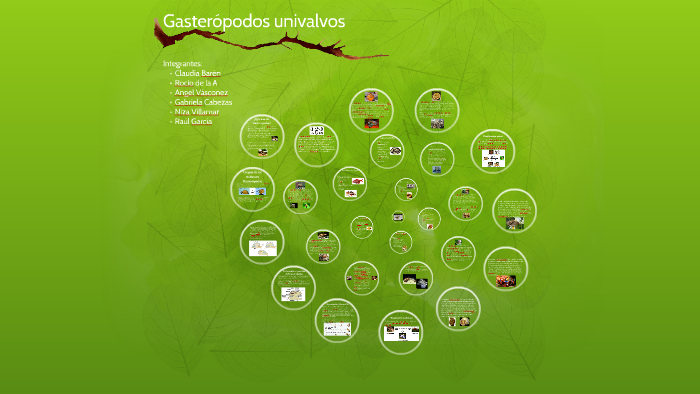 Gasterópodos univalvos by Claudia Barén on Prezi
