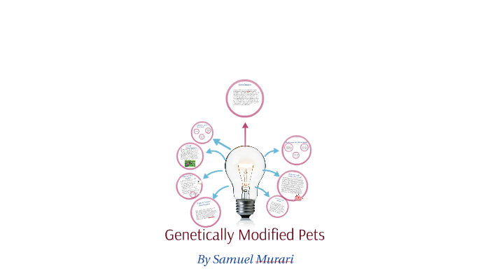 Genetically Modified Pets by samuel murari on Prezi