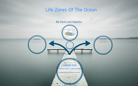 Life Zones of the Ocean by natasha greenstein on Prezi