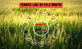Termite Lab by Kyle Martin on Prezi