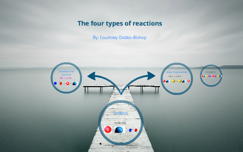 The four types of reactions by Courtney dobbs