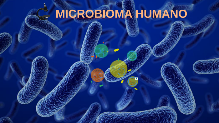 MICROBIOMA HUMANO by Jhojan Muñoz on Prezi