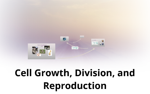 Cell Growth, Division, and Reproduction by Chelsea Rhodenizer on Prezi