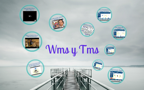 Wms y Tms Aplicaciones by Shape Marketing on Prezi
