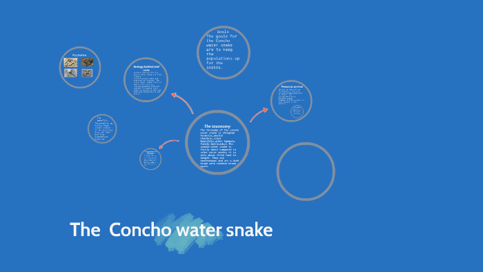 the concho water snake by cason cook on Prezi