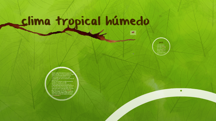 clima tropical húmedo by santi patata on Prezi