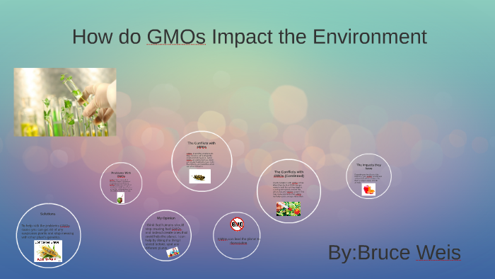 How do GMO's Impact the Environment by Bruce Weis on Prezi
