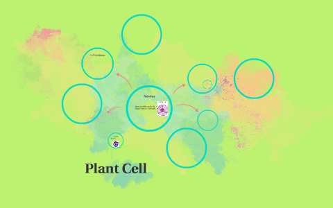 Animal by Audra Garrett on Prezi