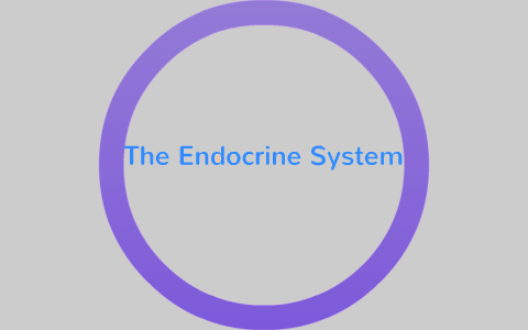 Endocrine System Prezi-Anatomy & Physiology by Elora Palmer on Prezi