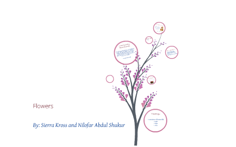 Flower Archetype by Nilofar Abdul Shukur on Prezi
